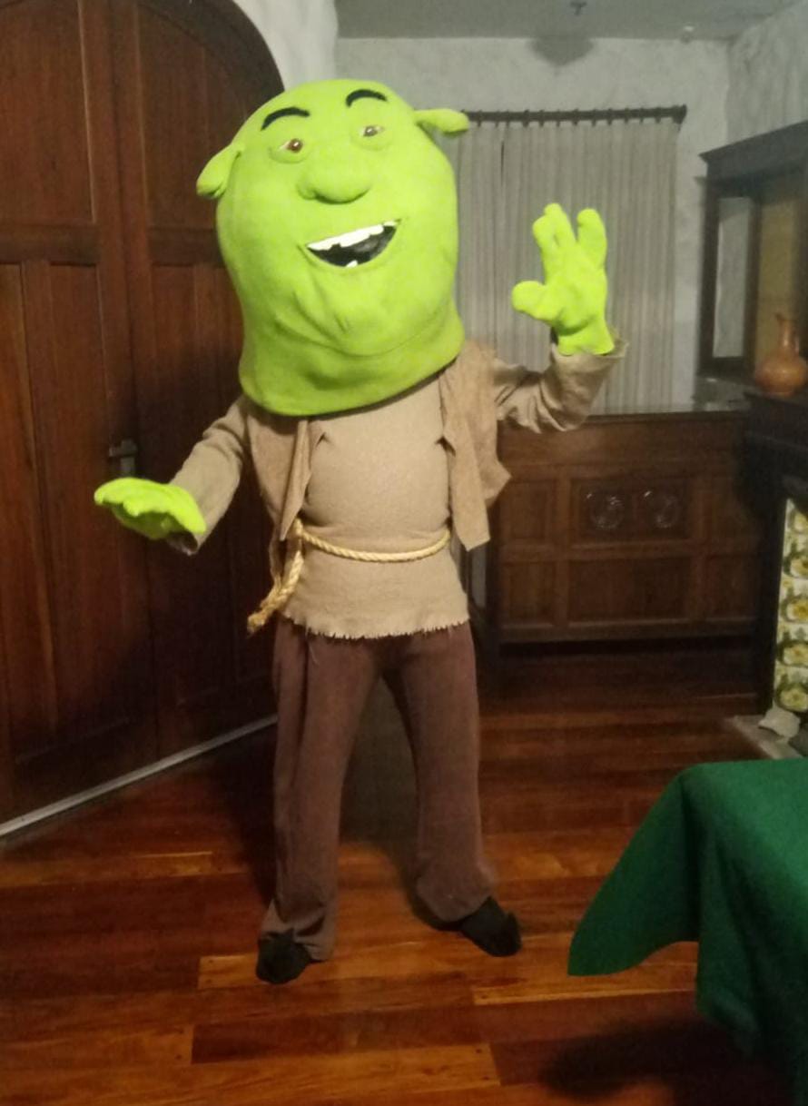 Disfraz de Shrek | Disfraces Arlequin